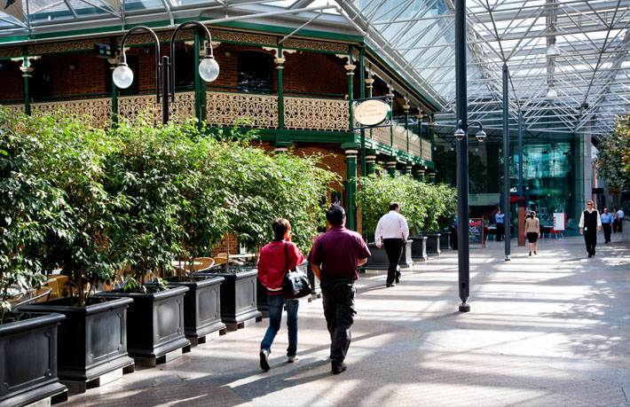 The Forrest Centre - Welcome to the Forrest Centre Website